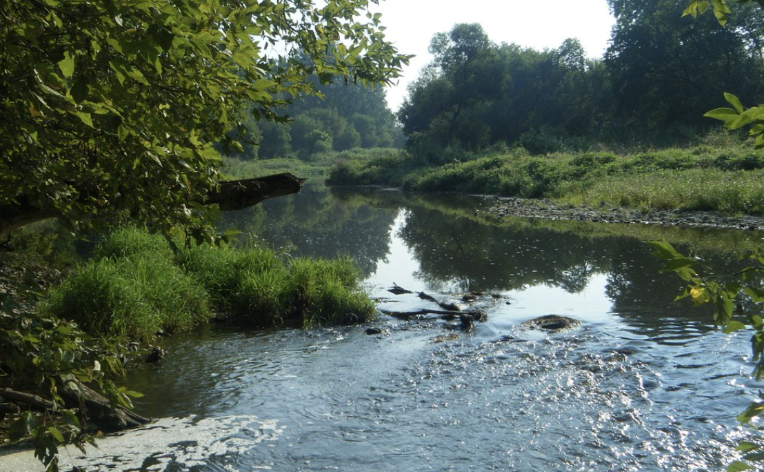 Brant Conservation Area