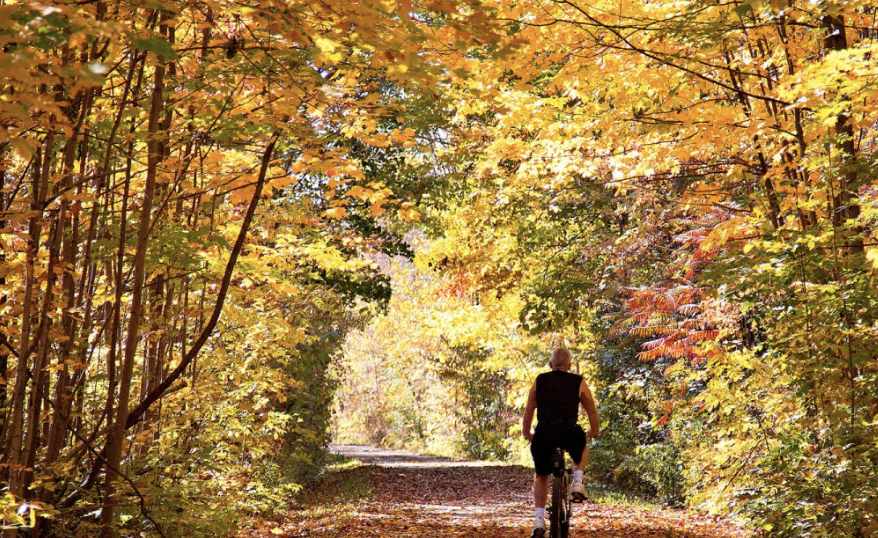 Brant Conservation Area