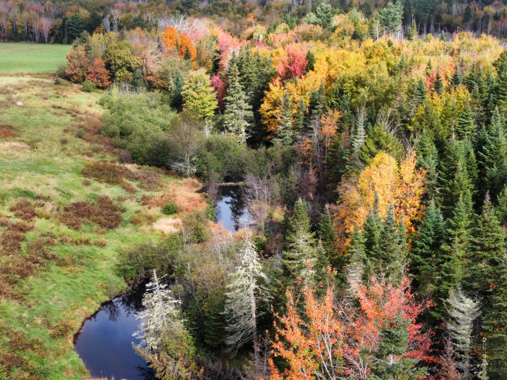 Cardinal Campground - Trailer Parks Canada